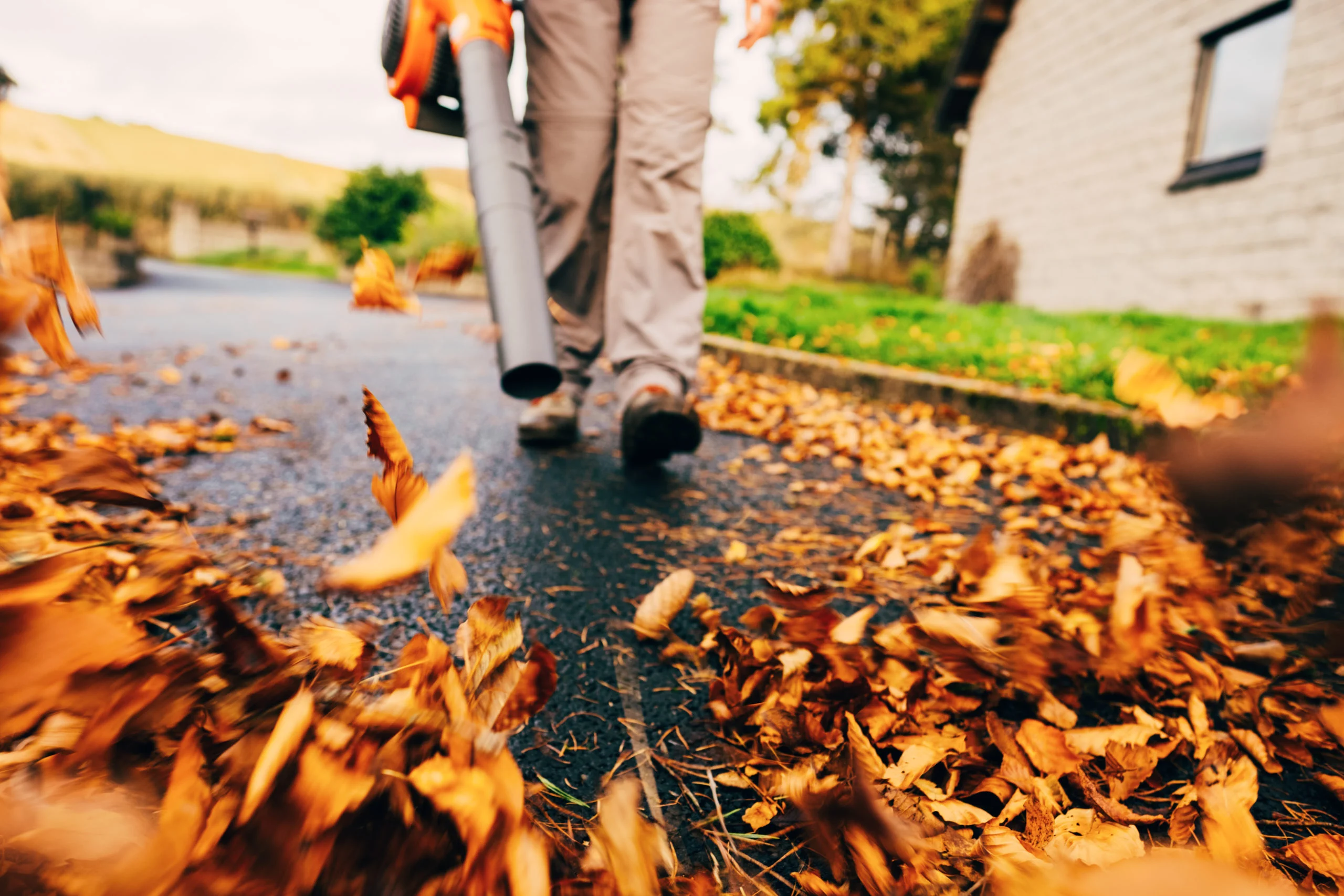 California Set to Silence Leaf Blowers - Alliance Law